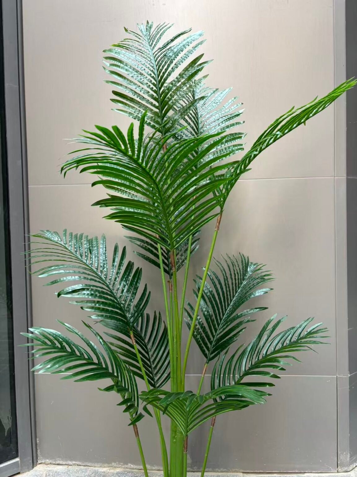 Trees – Diff Home